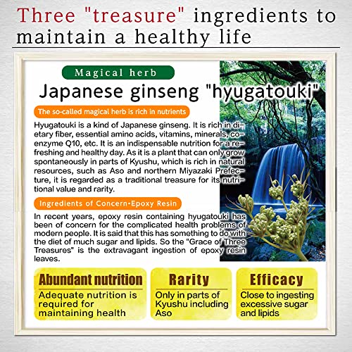 natural energy boost with ginseng