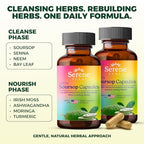 Natural energy boost with Graviola capsules