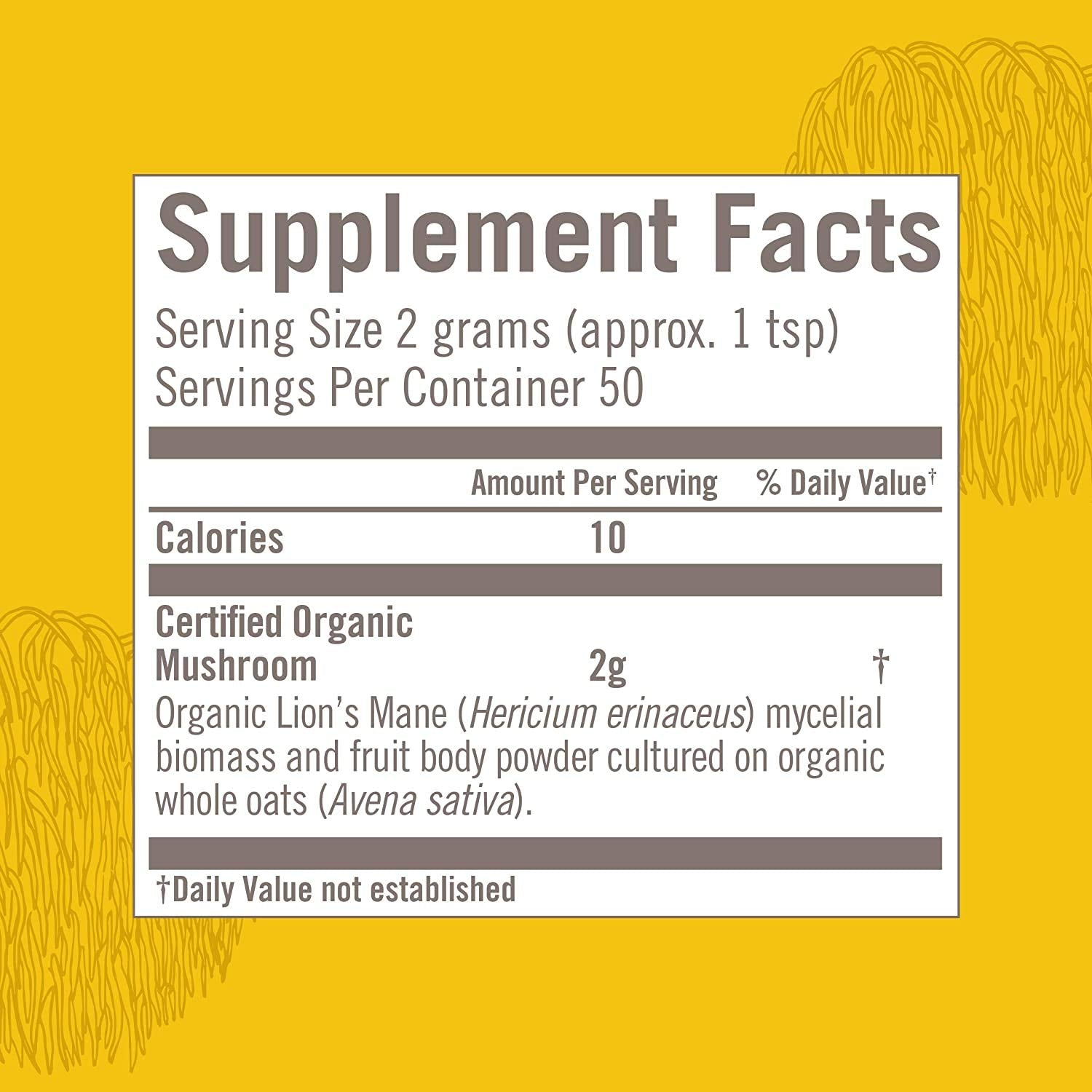 Natural energy boost with Lion's Mane