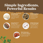 Natural energy boost with Lion's Mane