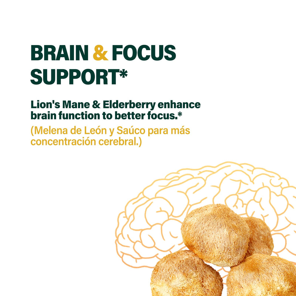 Natural energy boost with Lion's Mane