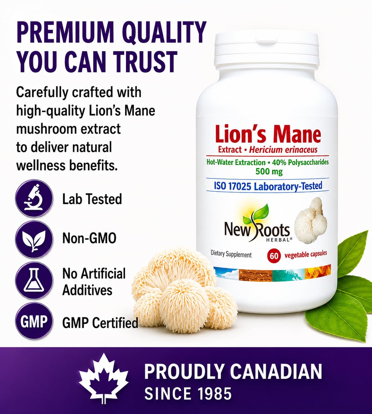 Natural energy boost with Lions Mane