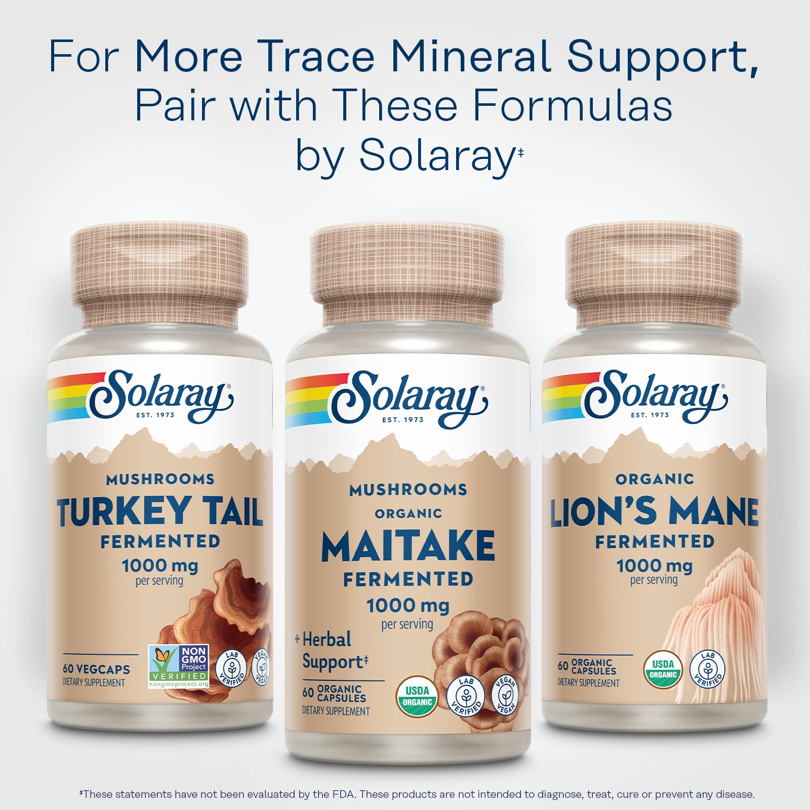 Natural energy boost with Maitake