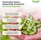 natural energy boost with Moringa