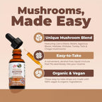 Natural energy boost with mushroom blends