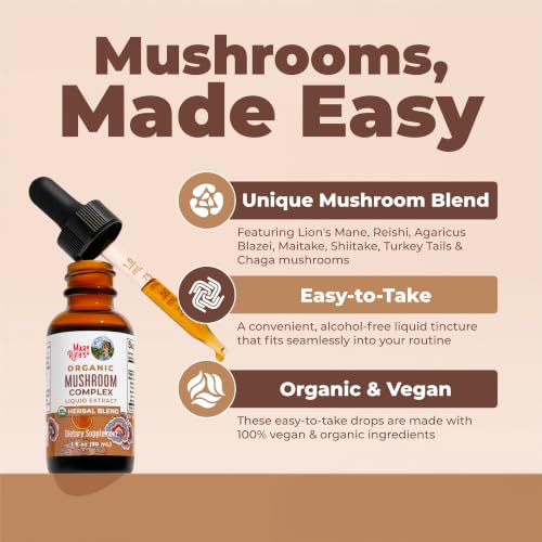 Natural energy boost with mushroom blends