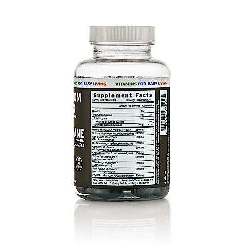 Natural energy boost with mushroom gummies