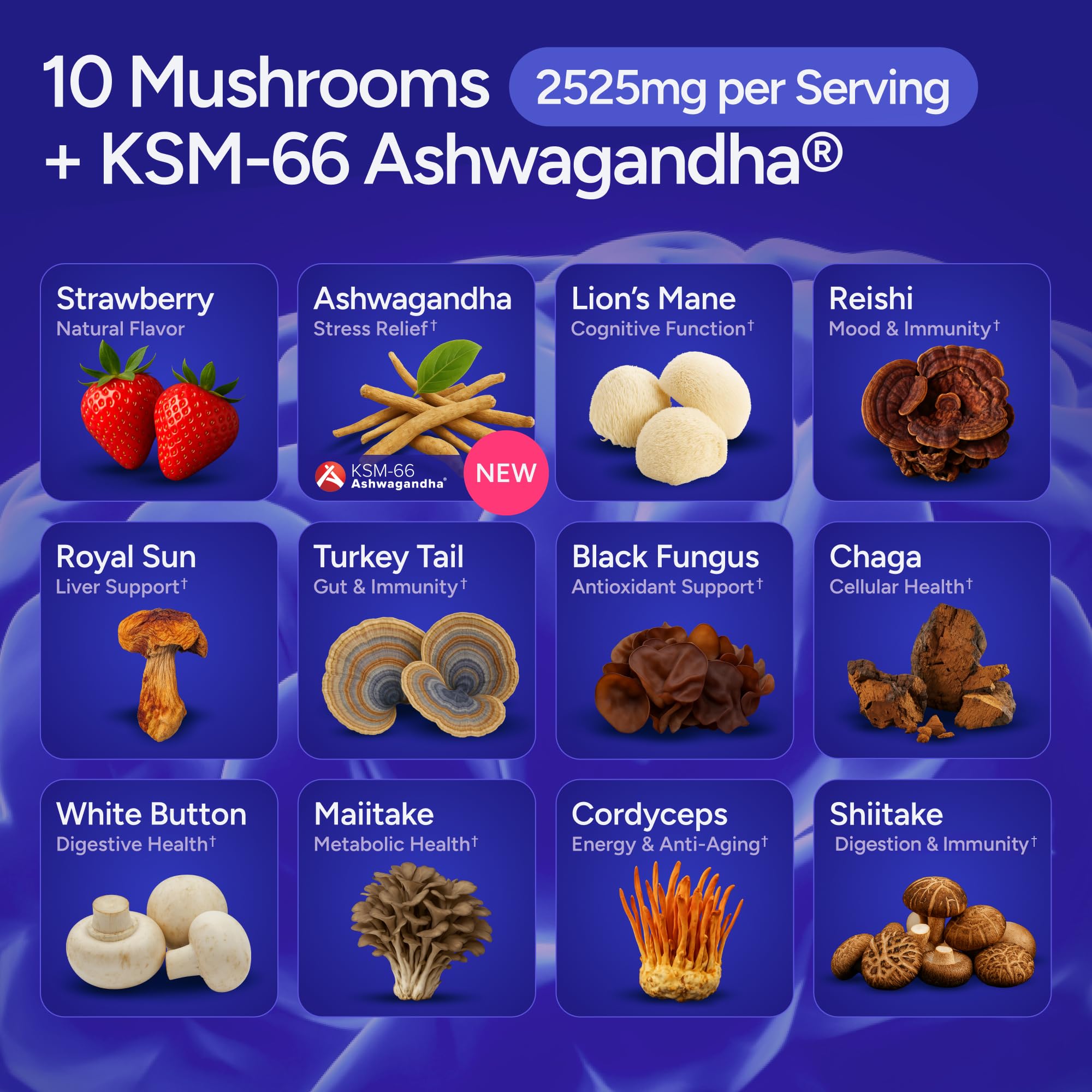 natural energy boost with mushrooms