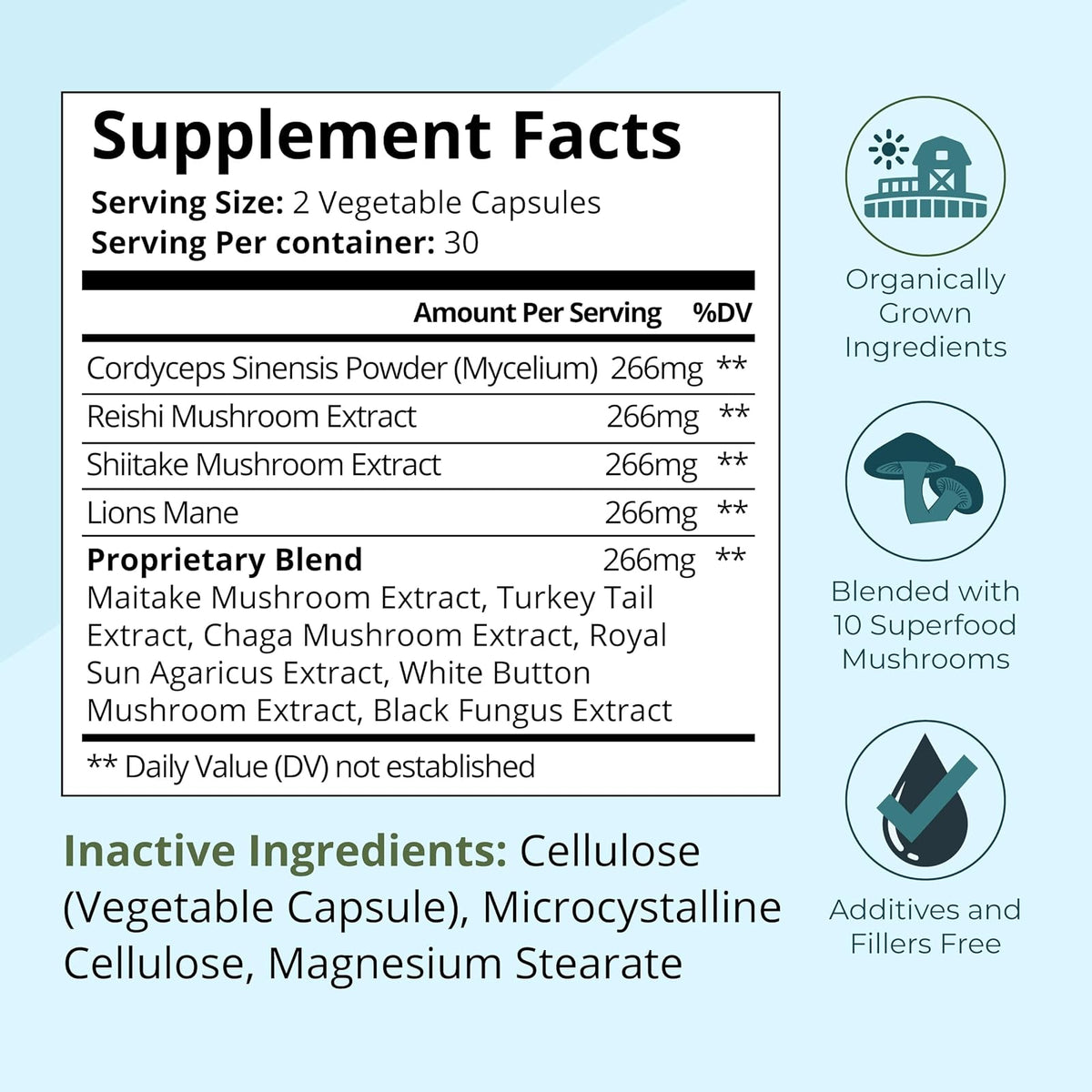 natural energy boost with mushrooms