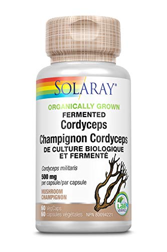 natural energy boost with mushrooms