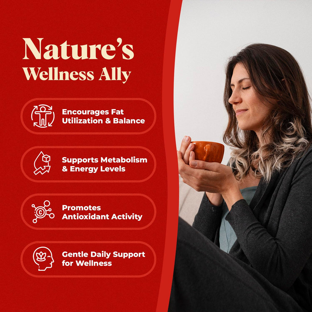 Natural energy boost with mushrooms
