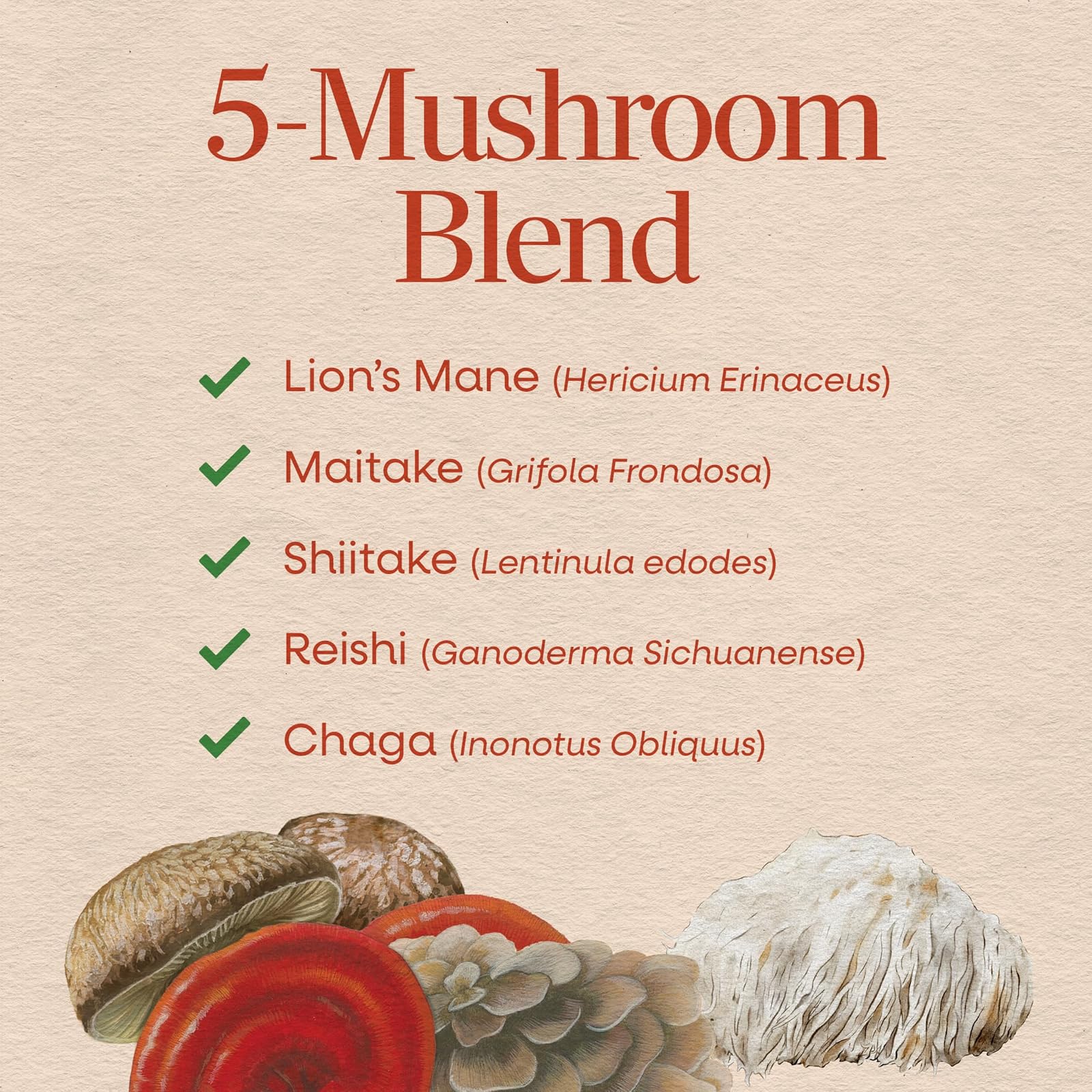 natural energy boost with mushrooms