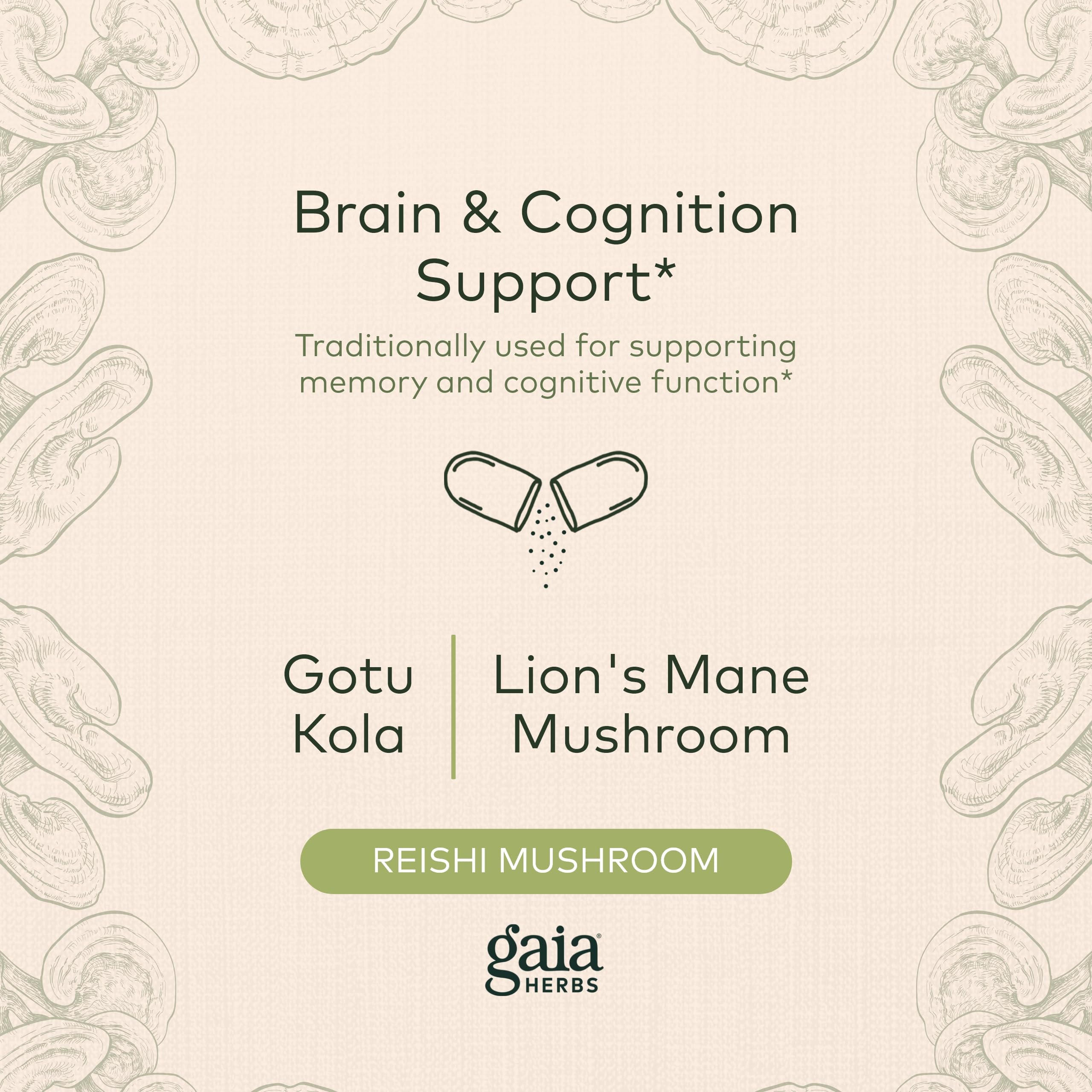 Natural energy boost with mushrooms