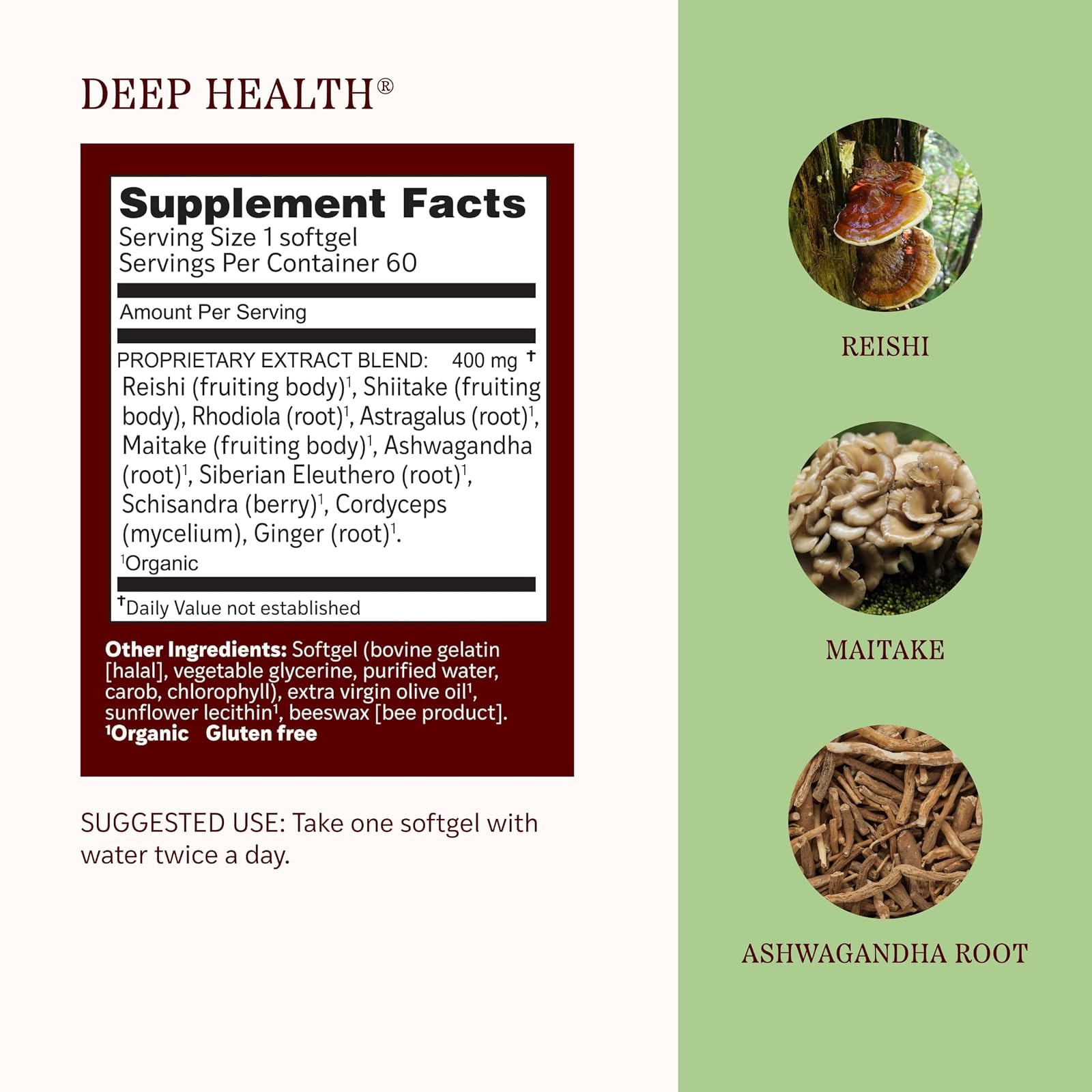 natural energy boost with mushrooms