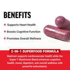 natural energy boost with mushrooms