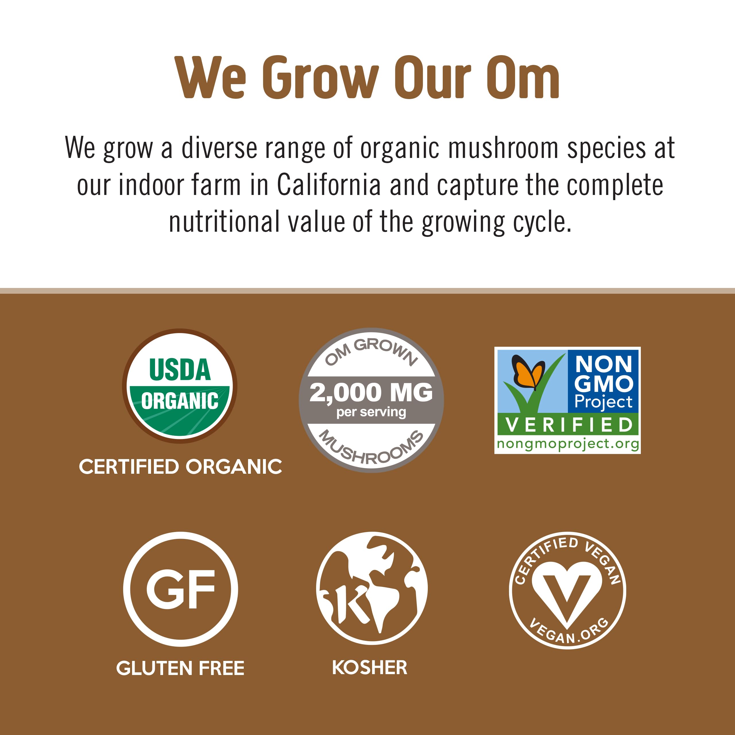 natural energy boost with mushrooms