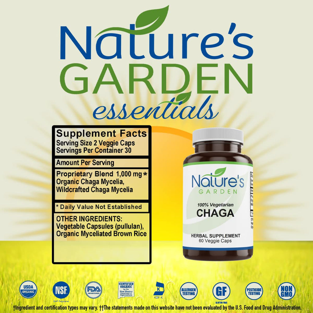 natural energy boost with mushrooms
