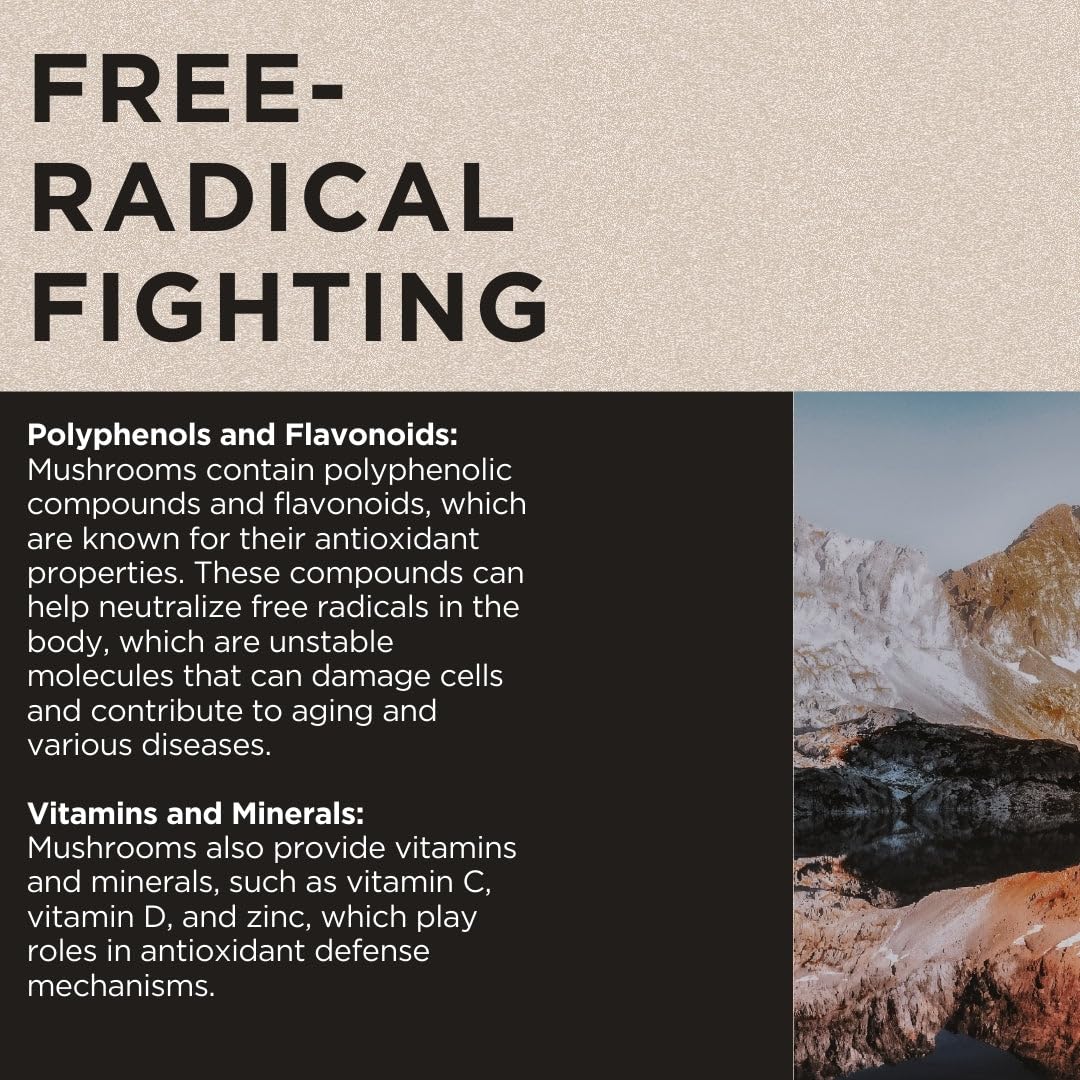 Natural energy boost with mushrooms