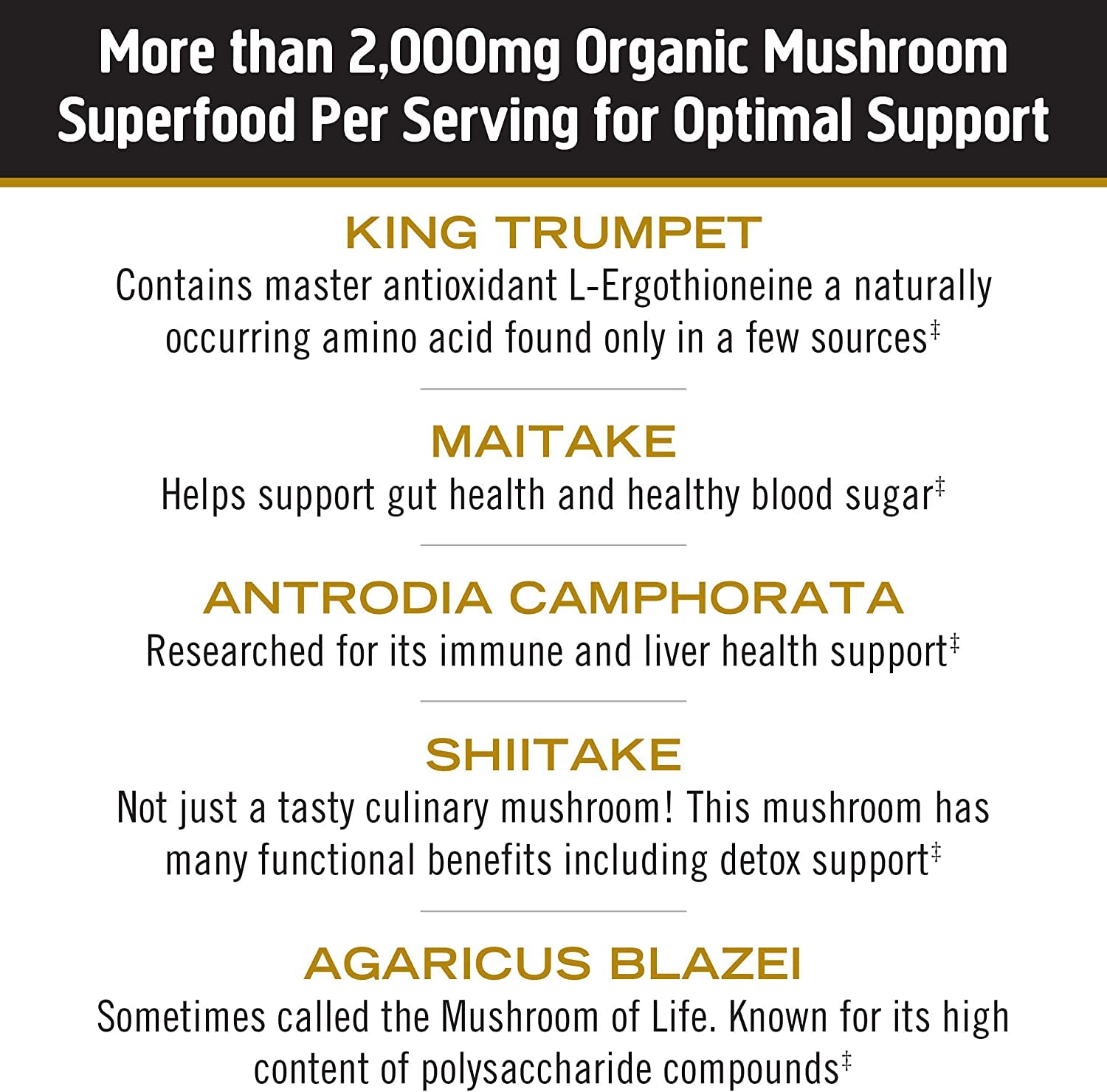 natural energy boost with mushrooms