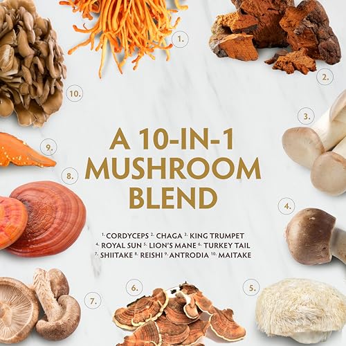 natural energy boost with mushrooms