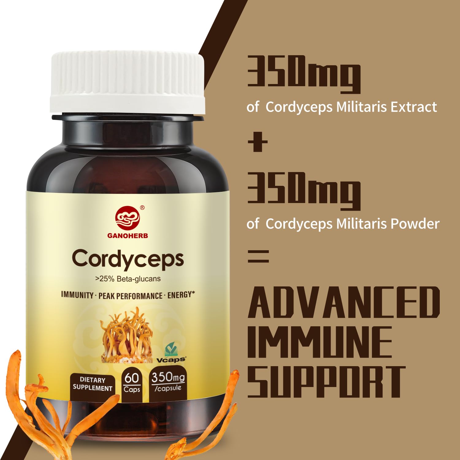 natural energy boost with mushrooms
