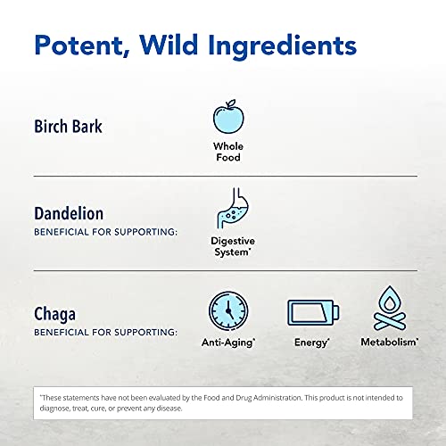 natural energy boost with mushrooms