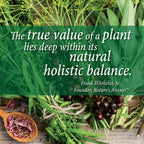 natural energy boost with Schisandra