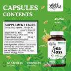 natural energy boost with sea moss