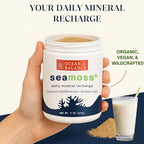 natural energy boost with SeaMoss+ powder
