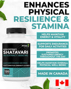 Natural energy boost with Shatavari
