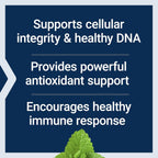 natural energy boost with spirulina