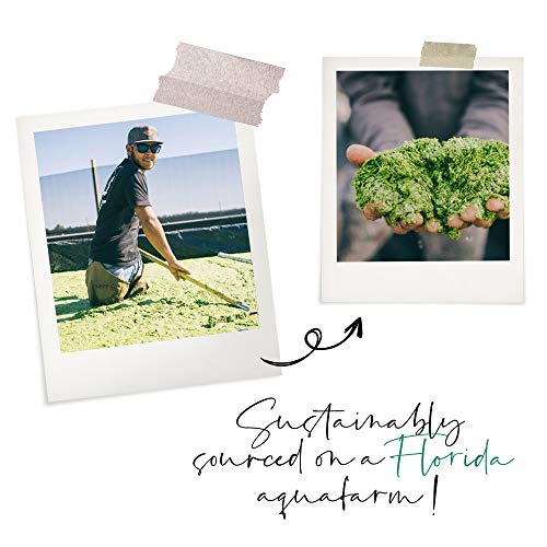 natural energy boost with superfood