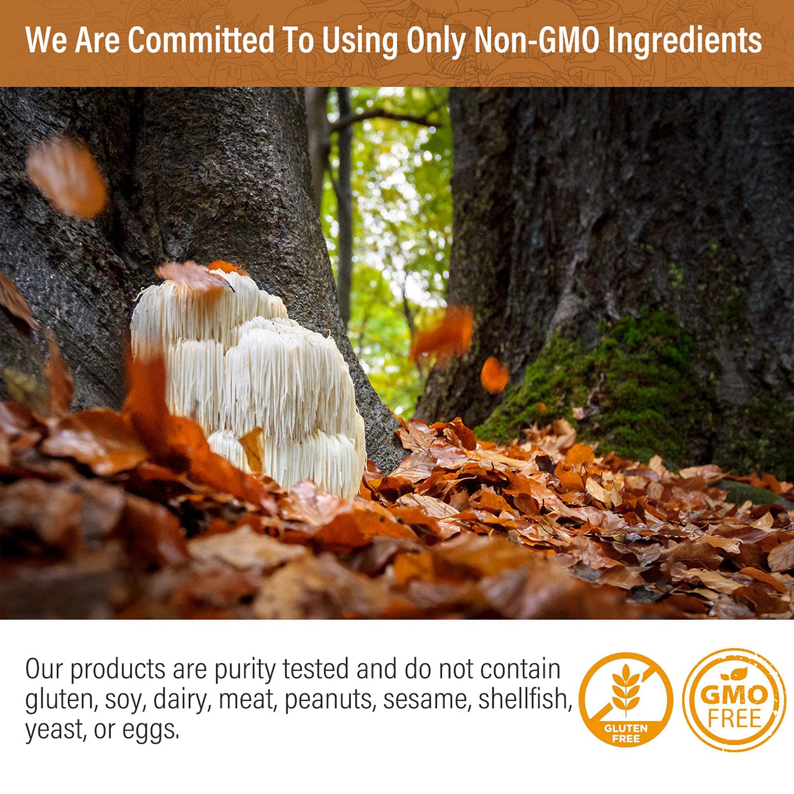 Natural energy boost with vegan mushrooms