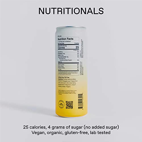 Natural energy boost with VYBES supplements