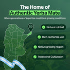 natural energy boost with yerba mate