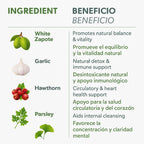 Natural energy boost with Zapote Blanco