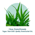 Natural energy booster acetyl-l-carnitine