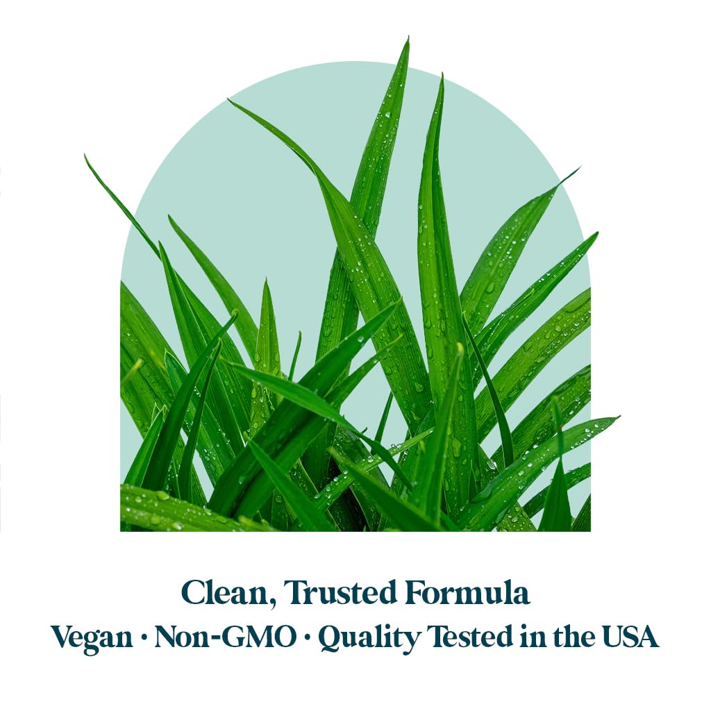 Natural energy booster acetyl-l-carnitine