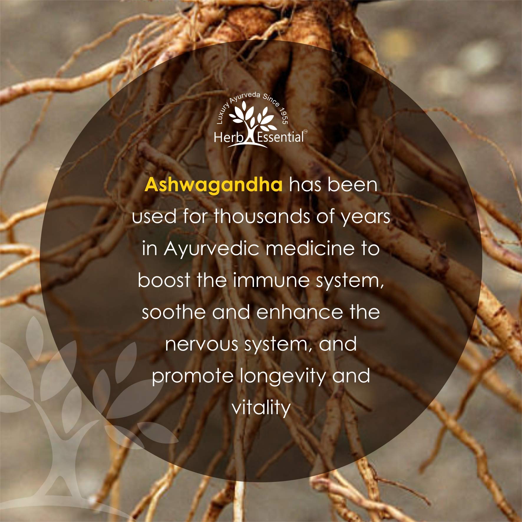 natural energy booster ashwagandha powder