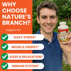 natural energy booster ashwagandha