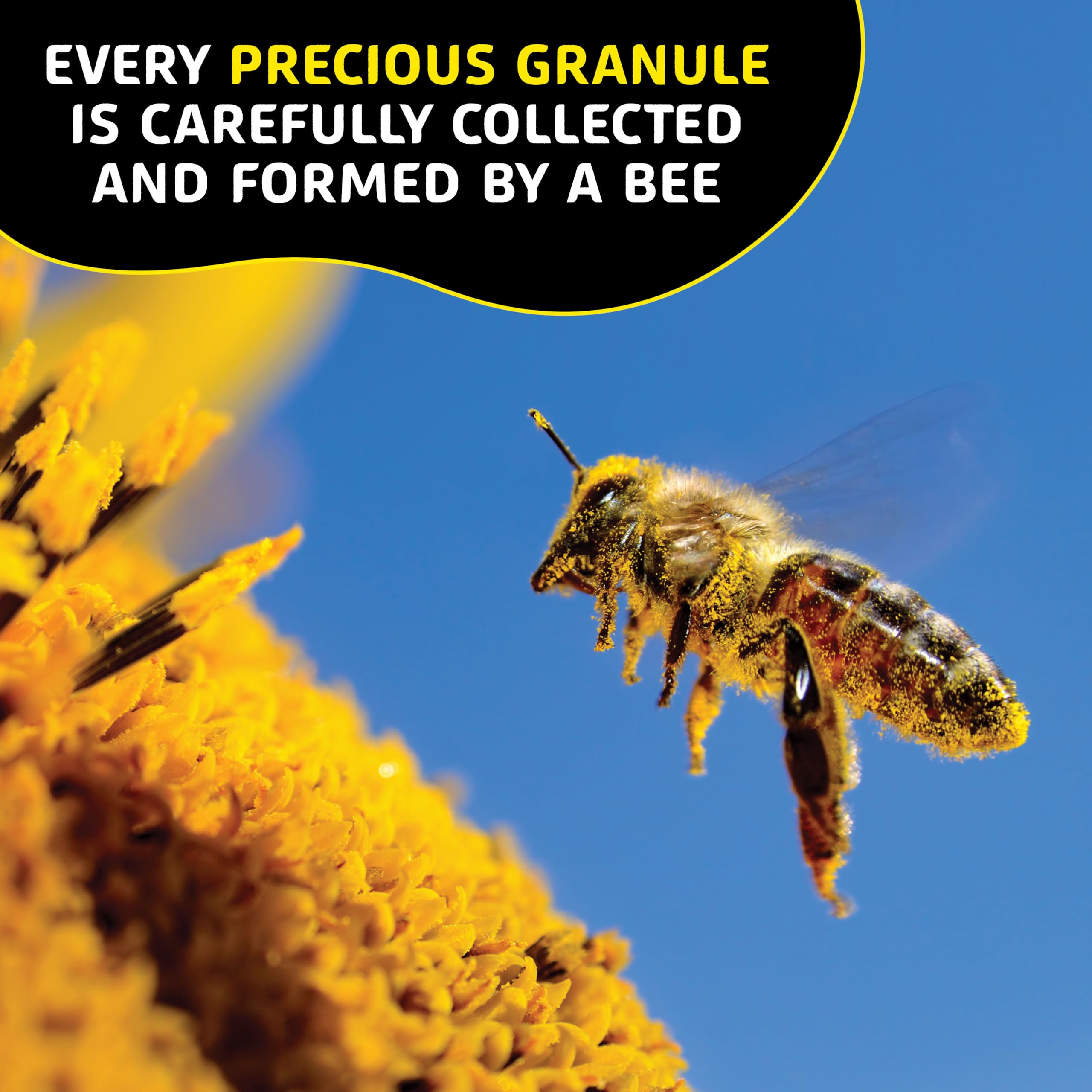 natural energy booster bee pollen