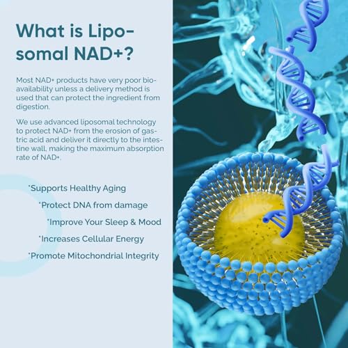 Natural energy booster blended supplements