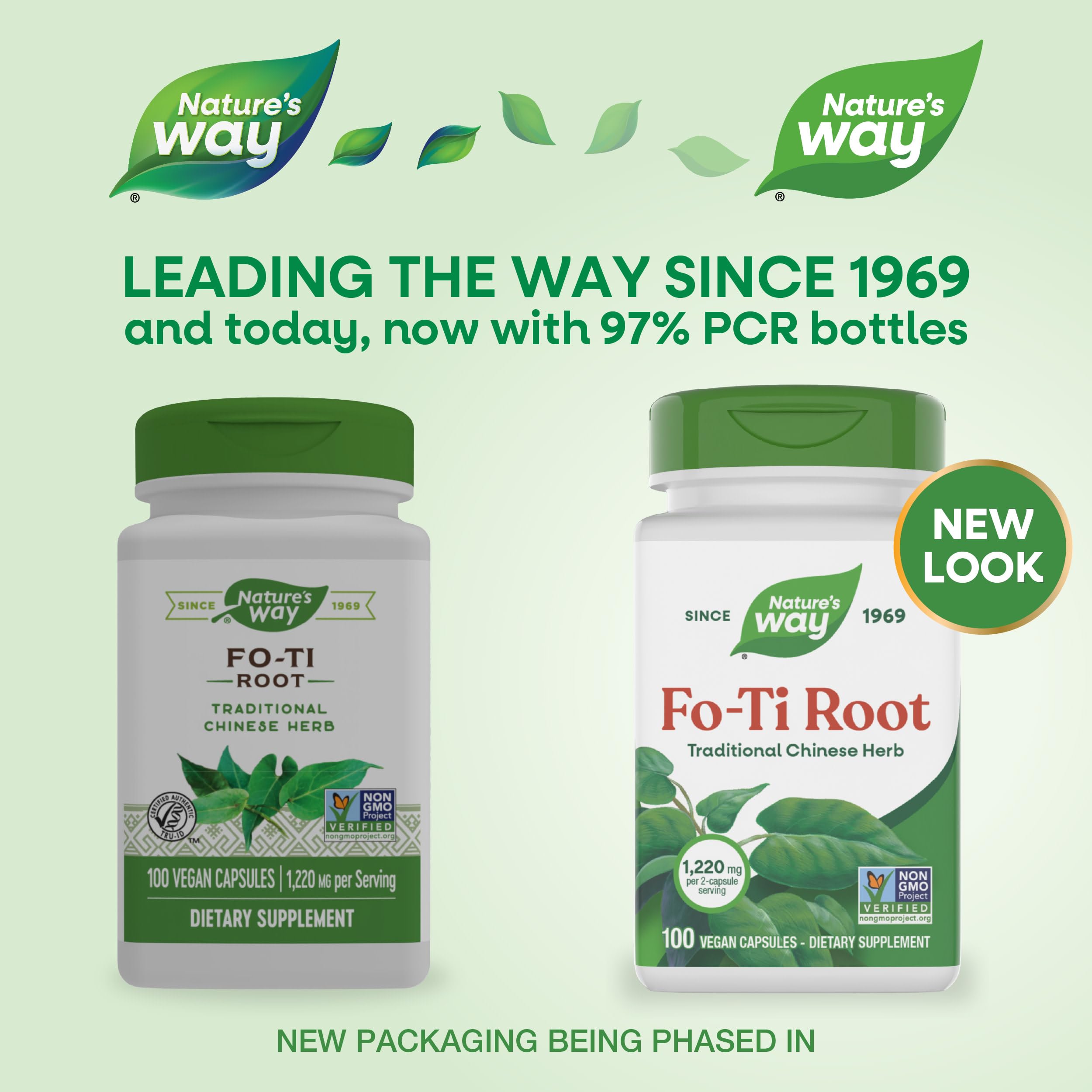 Natural energy booster capsules