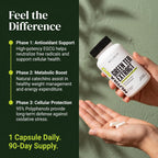 natural energy booster capsules