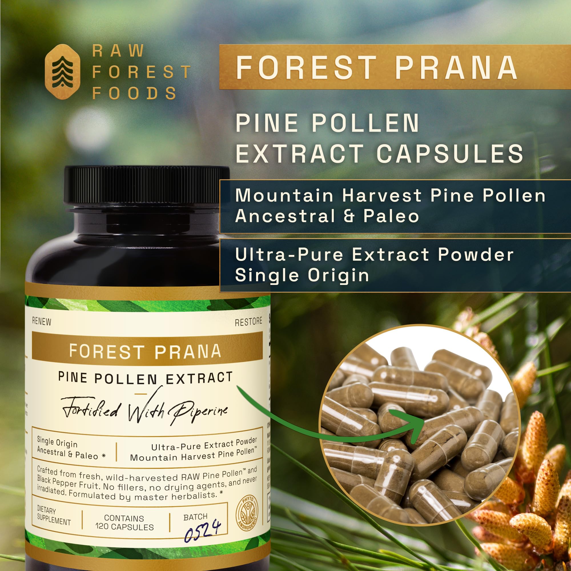 Natural energy booster capsules