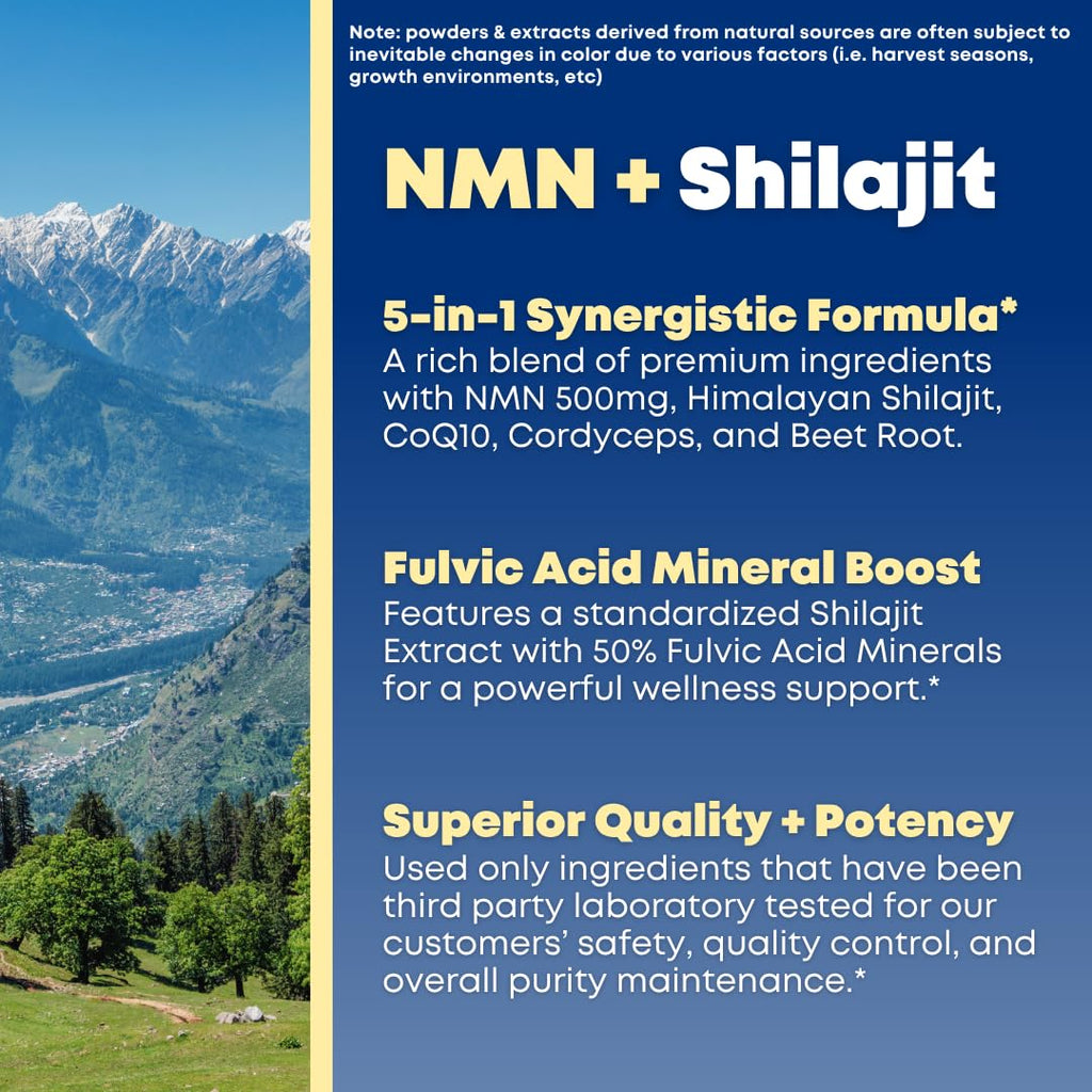 Natural energy booster capsules