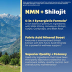 Natural energy booster capsules