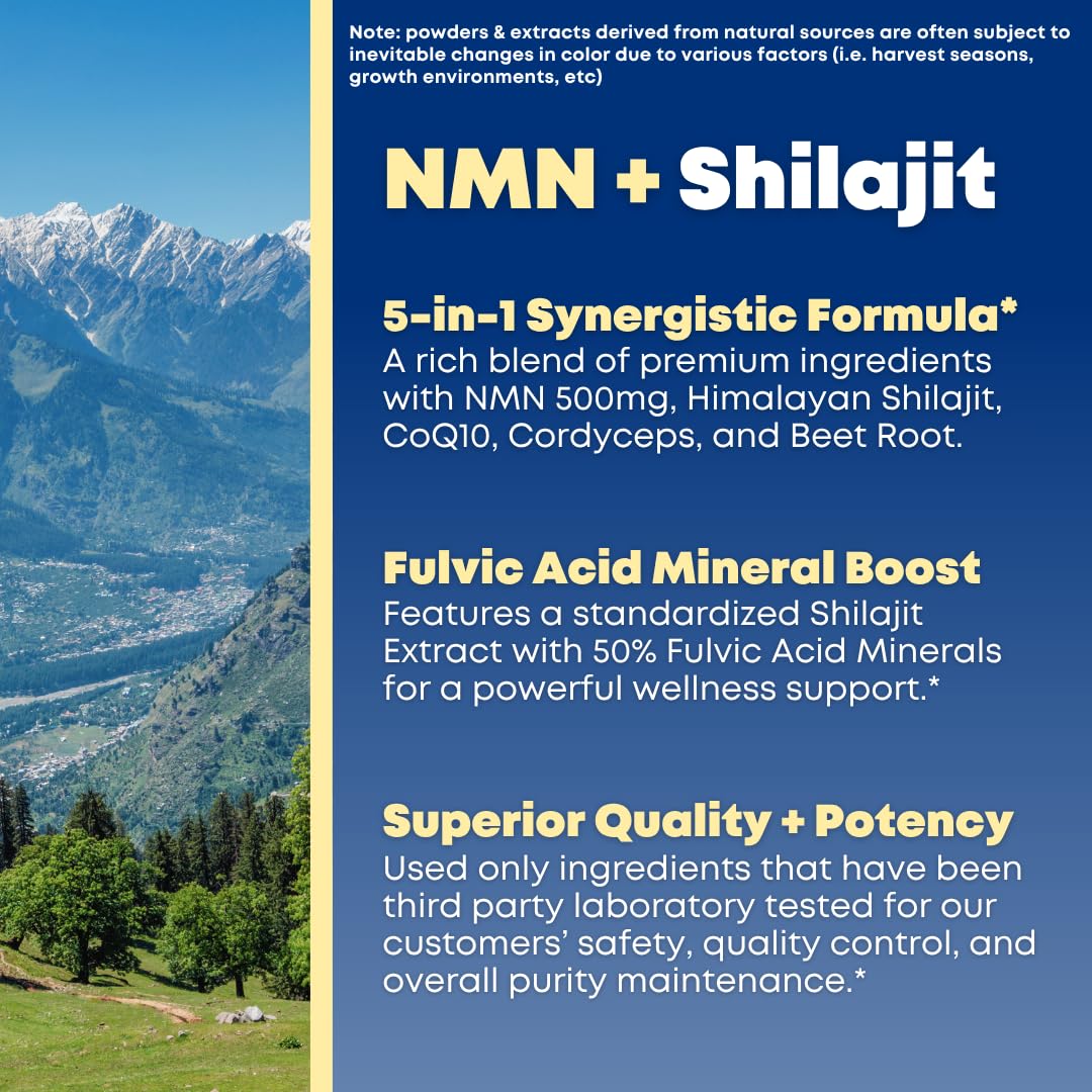 Natural energy booster capsules