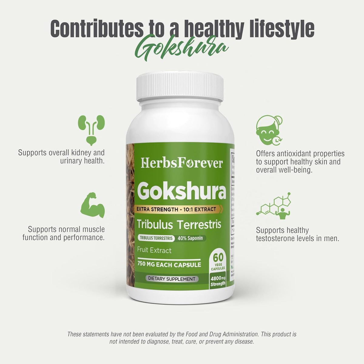 Natural energy booster capsules