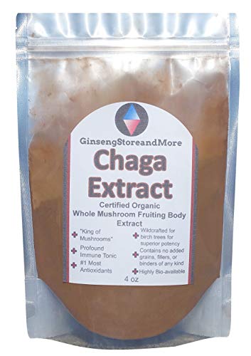 Natural energy booster chaga mushrooms